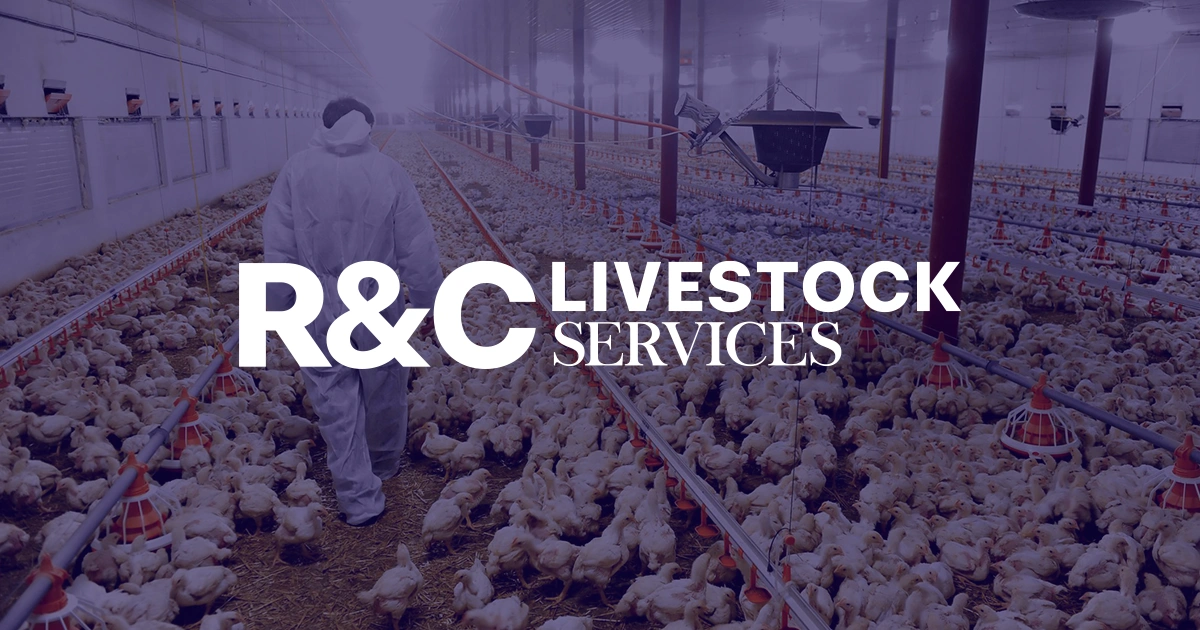 Livestock Facility Maintenance – R&C Livestock Services